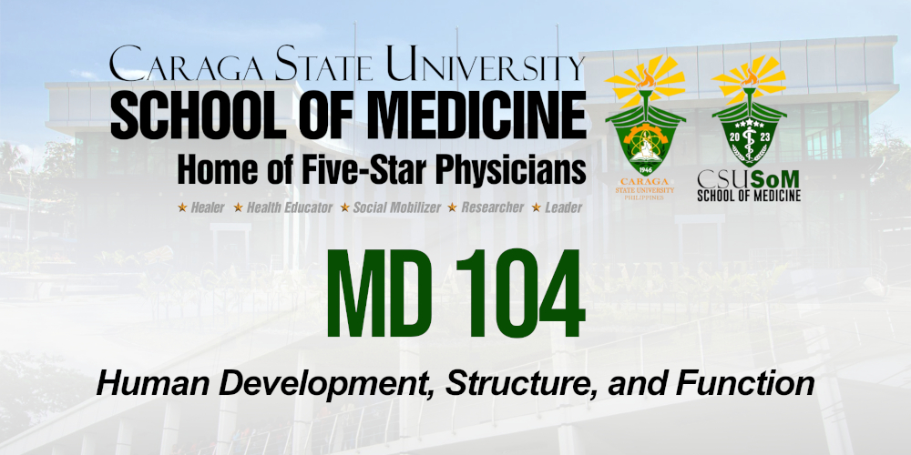 masaoLMS: All courses